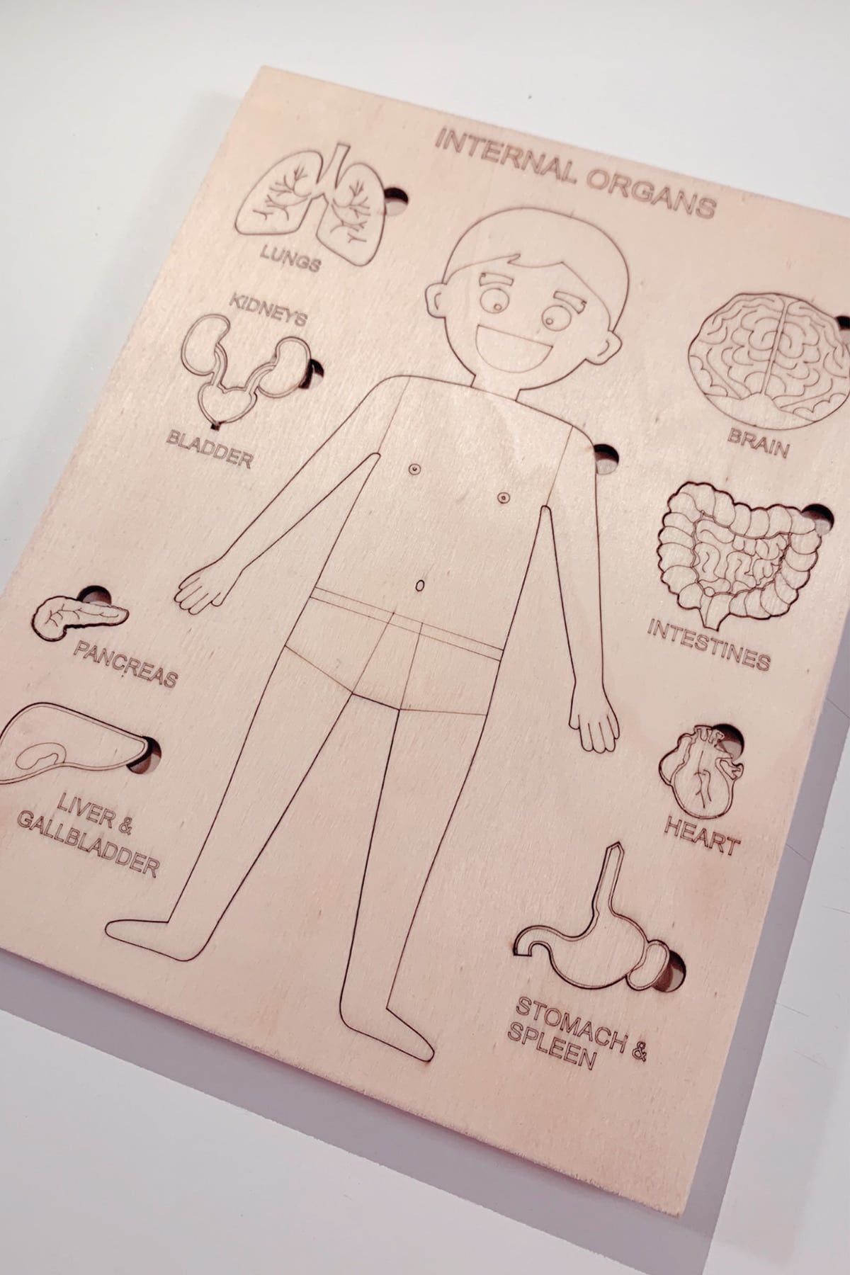 Puzzle in legno verniciabile del corpo umano per bambini • Bambini World